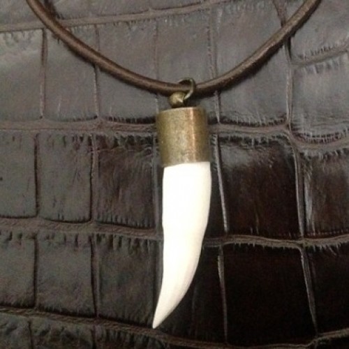Crocodile Tooth Necklace